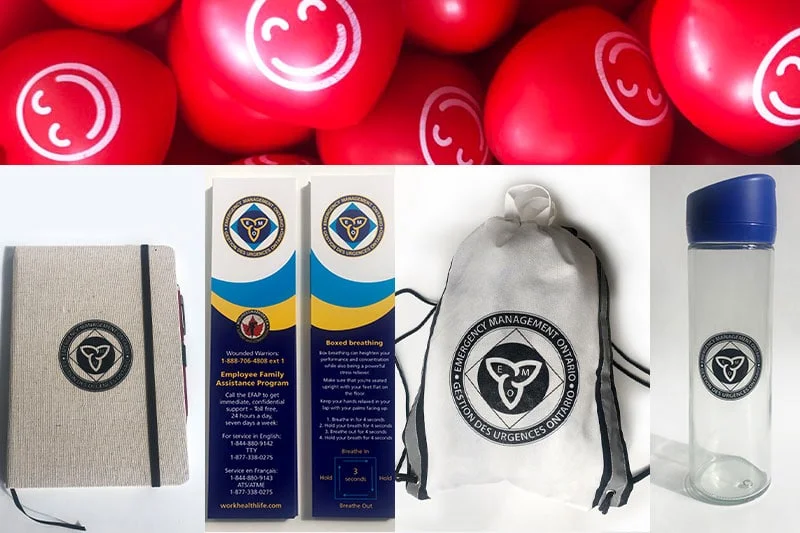 EMO Employee Care Package - Mystique Brand Communications